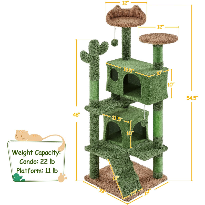Archie & Oscar™ Cleobury 53'' Height Cat Cactus Tree Condo Kitten Tree ...