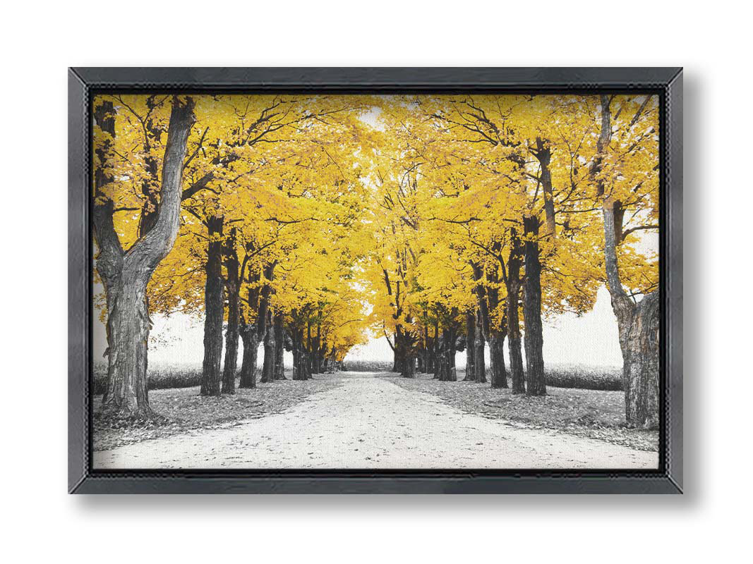 Foundry Select Row of Amber Trees by Hal Halli. Paper Print - Mounted ...