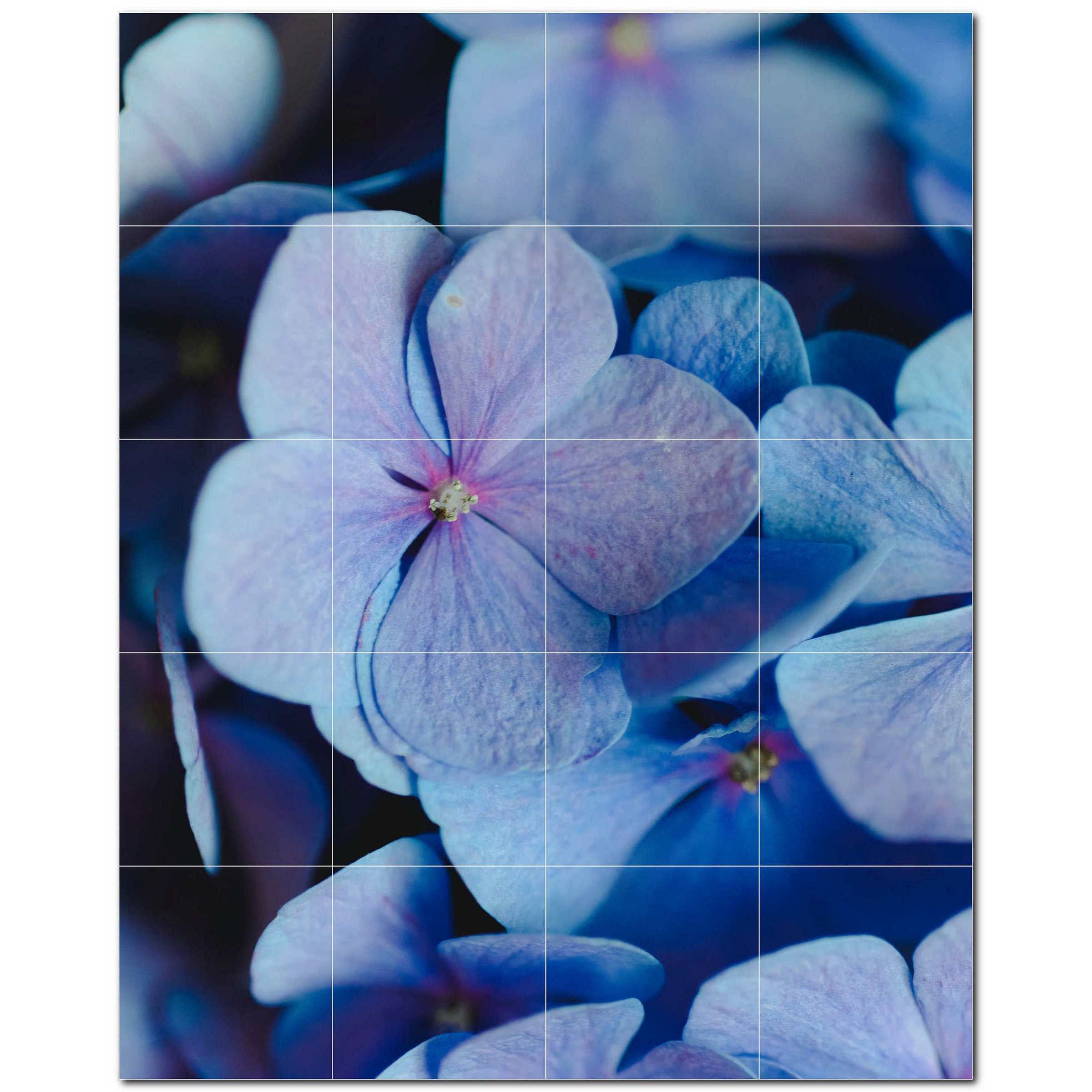 Picture-Tiles.com 12'' x 12'' Satin Ceramic Decorative Mural | Wayfair