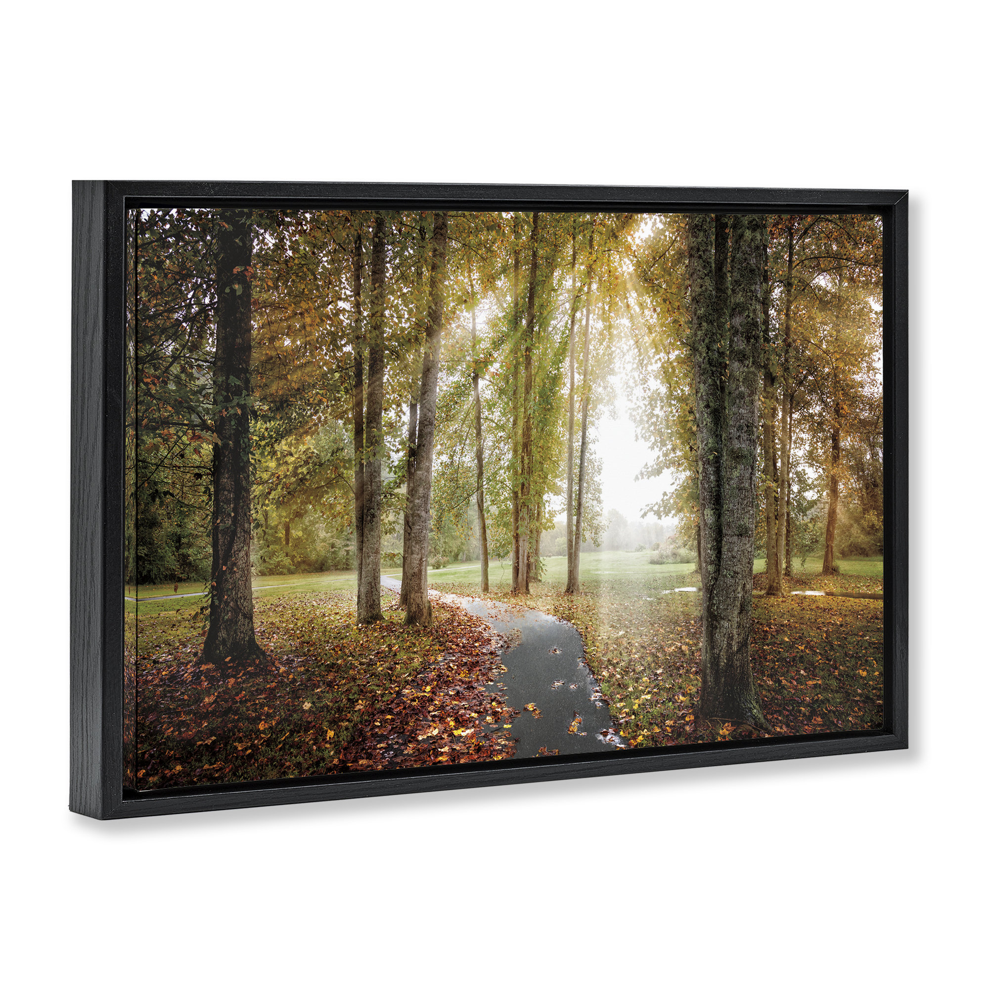 Union Rustic Follow The Light Forest Path Floating Frame, design by ...