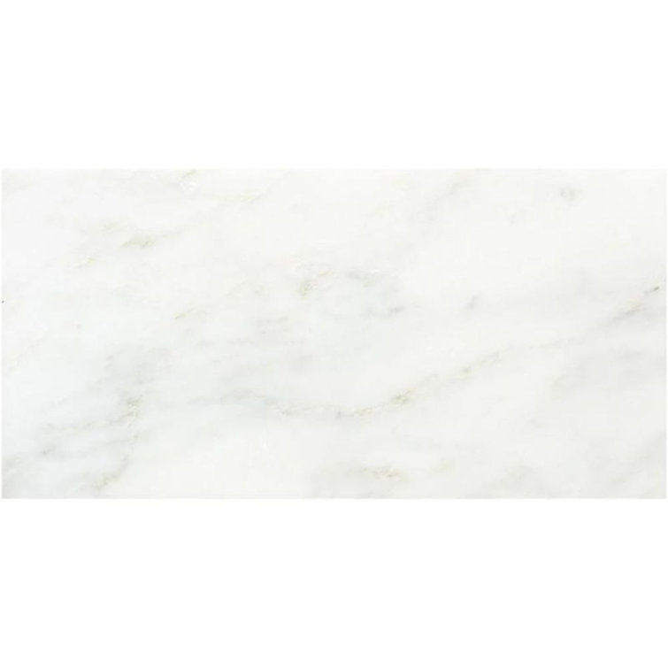 Tile & Mosaic Depot 12" x 24" Marble Marble Look Wall & Floor Tile ...