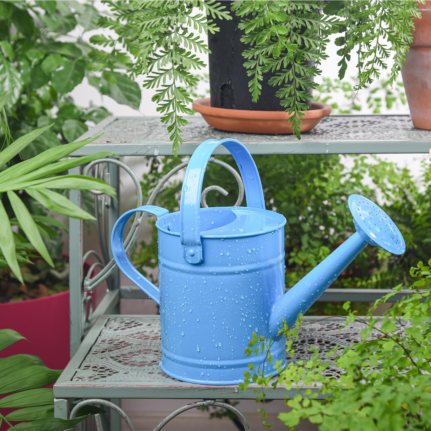 FEIYAN 1.5 Liter Small Bright Blue Watering Can For Indoor Outdoor Plants, Cute Little Kids ...