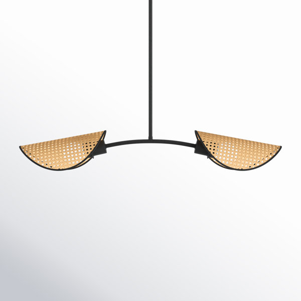 Modern 2 Light Pendant Lighting | AllModern