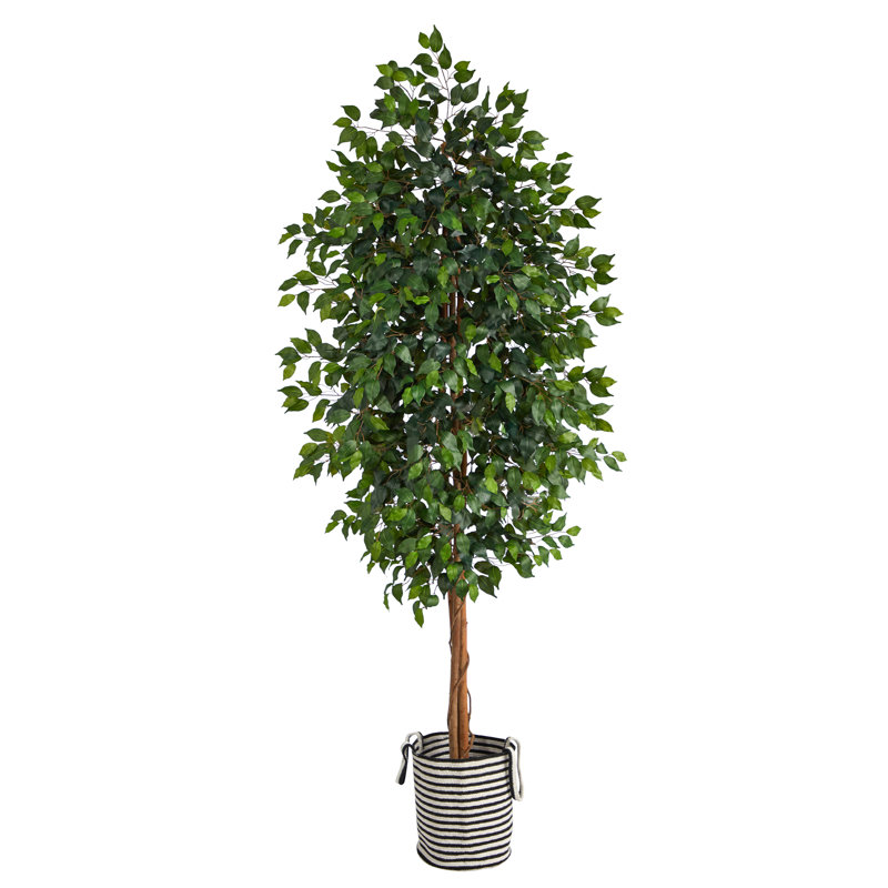 Primrue 96'' Faux Ficus Tree in Planter | Wayfair