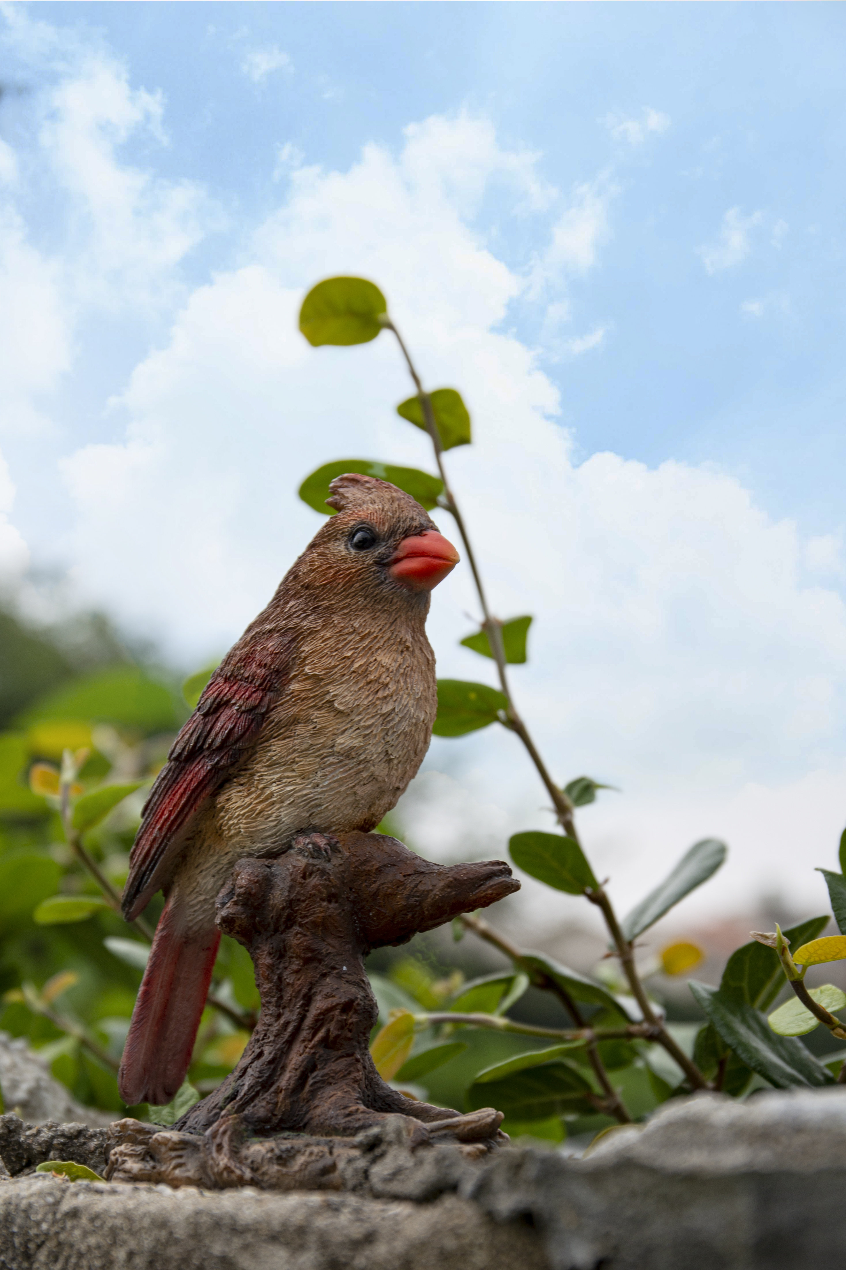 Hi-Line Gift Ltd. Female Cardinal Perched On A Stump Statue & Reviews ...