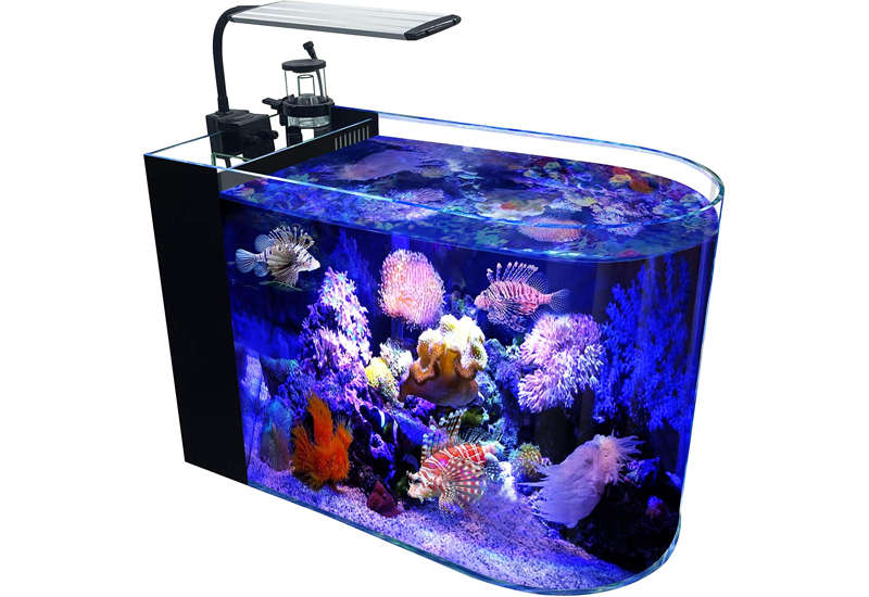 Fish Tank Sizes & Types: How to Choose the Right Aquarium | Wayfair