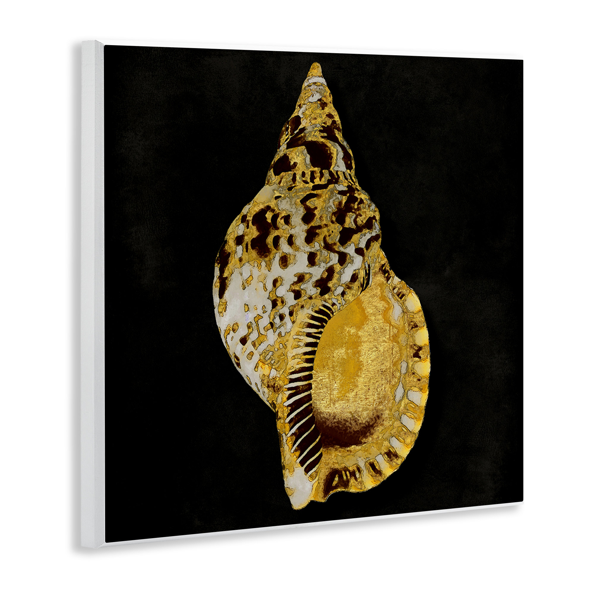 House of Hampton Gold Conch on Black Wall Plaque Art by Caroline Kelly ...