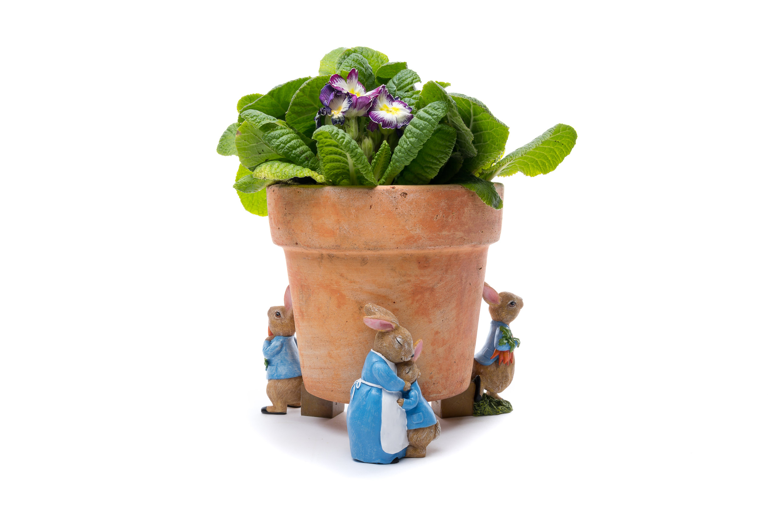 Jardinopia Beatrix Potter Peter Rabbit Coloured Planter Feet In Gift ...