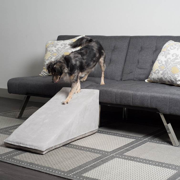 RoyalRamps Ramp & Reviews | Wayfair