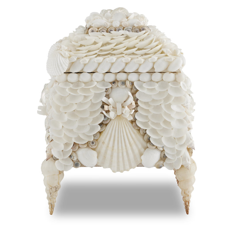 Currey & Company Boardwalk Shell Jewelry Box | Perigold