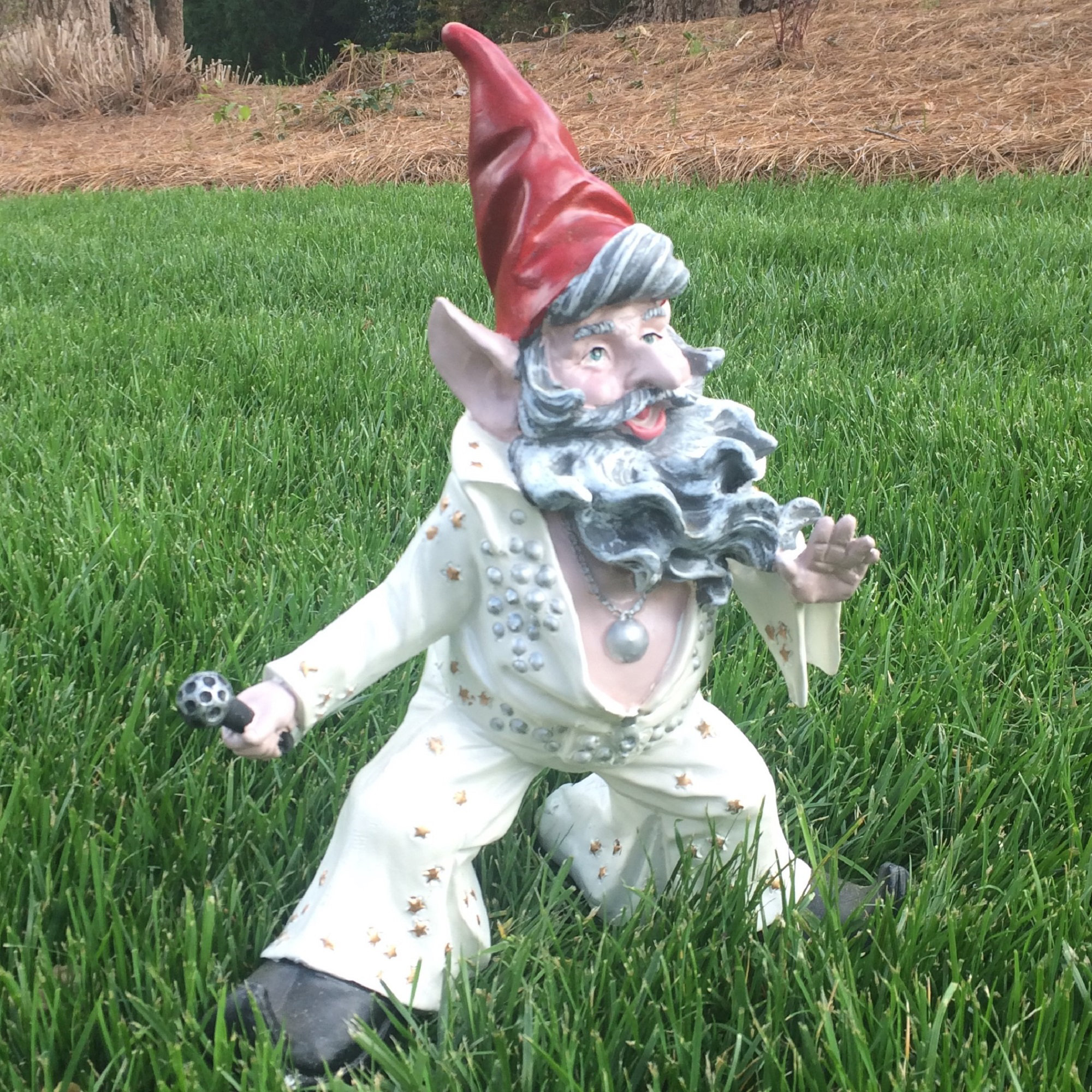 HomeStyles Nowaday Gnome "Vegas" the King Garden Statue & Reviews | Wayfair
