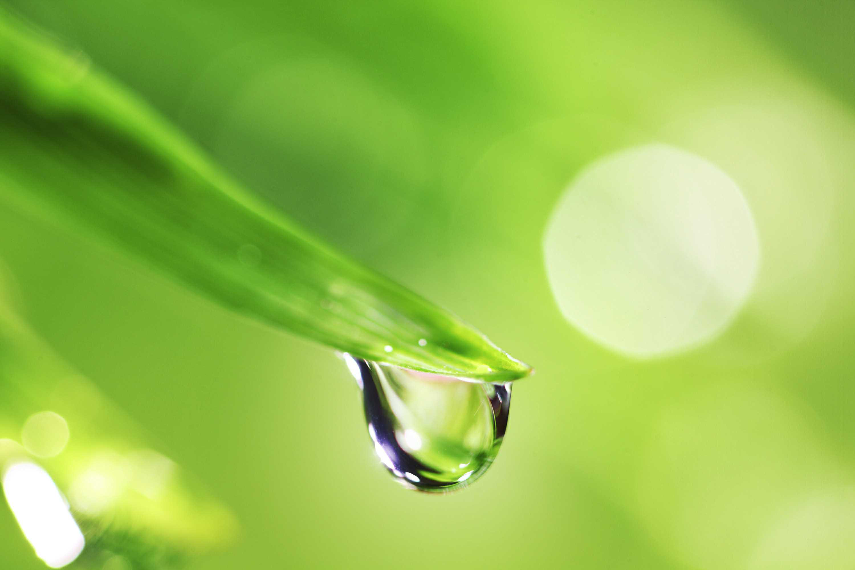 Ebern Designs Big Water Drop by - Wrapped Canvas Photograph - Wayfair ...