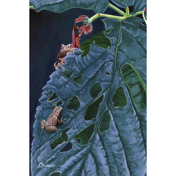 17 Stories Spring Peepers I - Wrapped Canvas Art Prints | Wayfair.co.uk