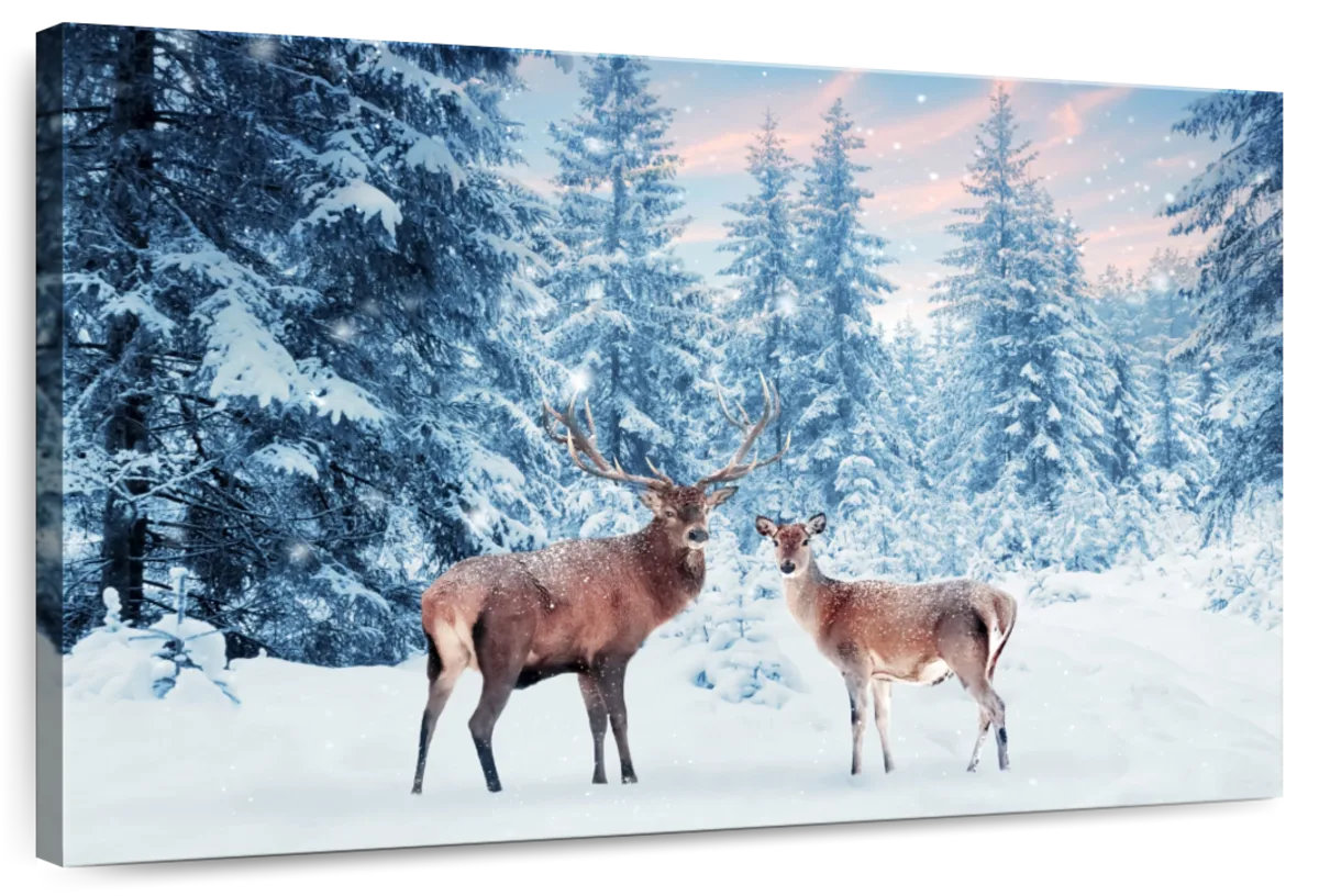 Ebern Designs Winter Wonderland Deer | Wayfair