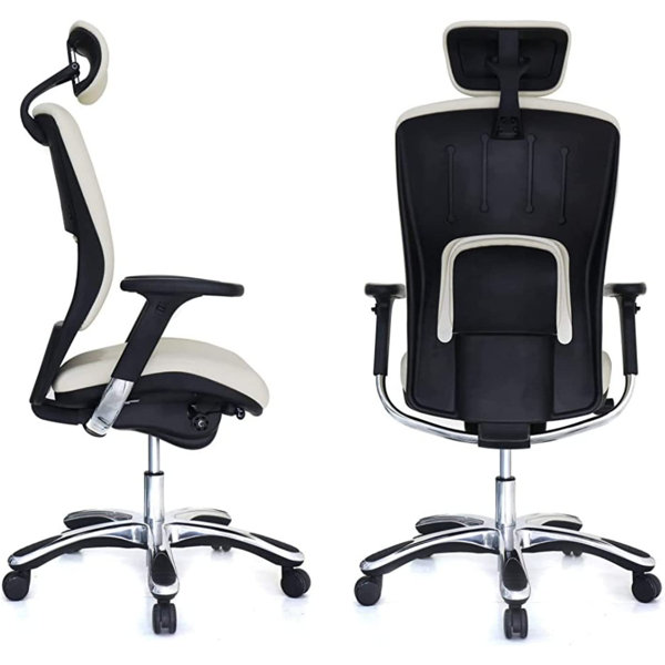 Symple Stuff Genuine Leather Task Chair with Headrest & Reviews | Wayfair