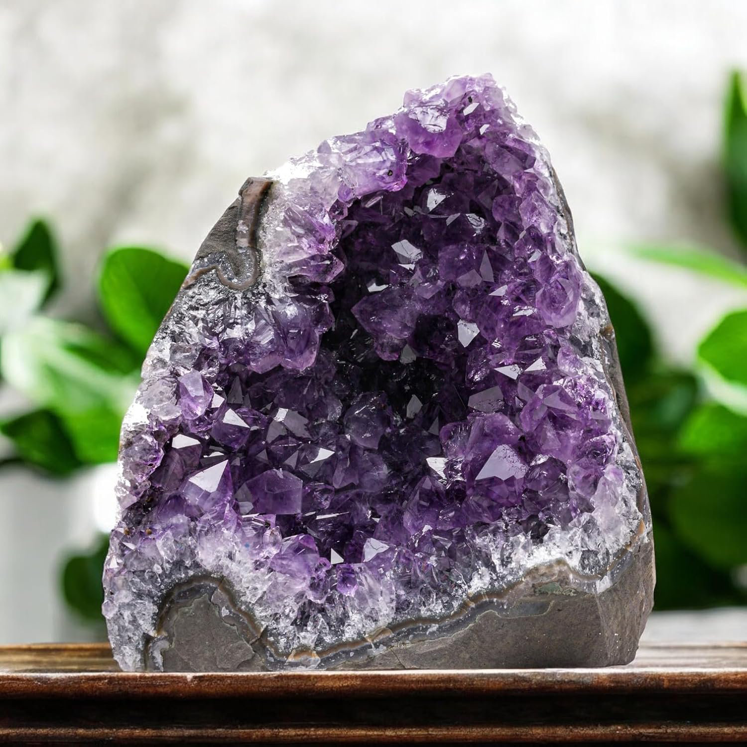 Everly Quinn Natural Amethyst Crystal Clusters Stone from Uruguay Raw ...