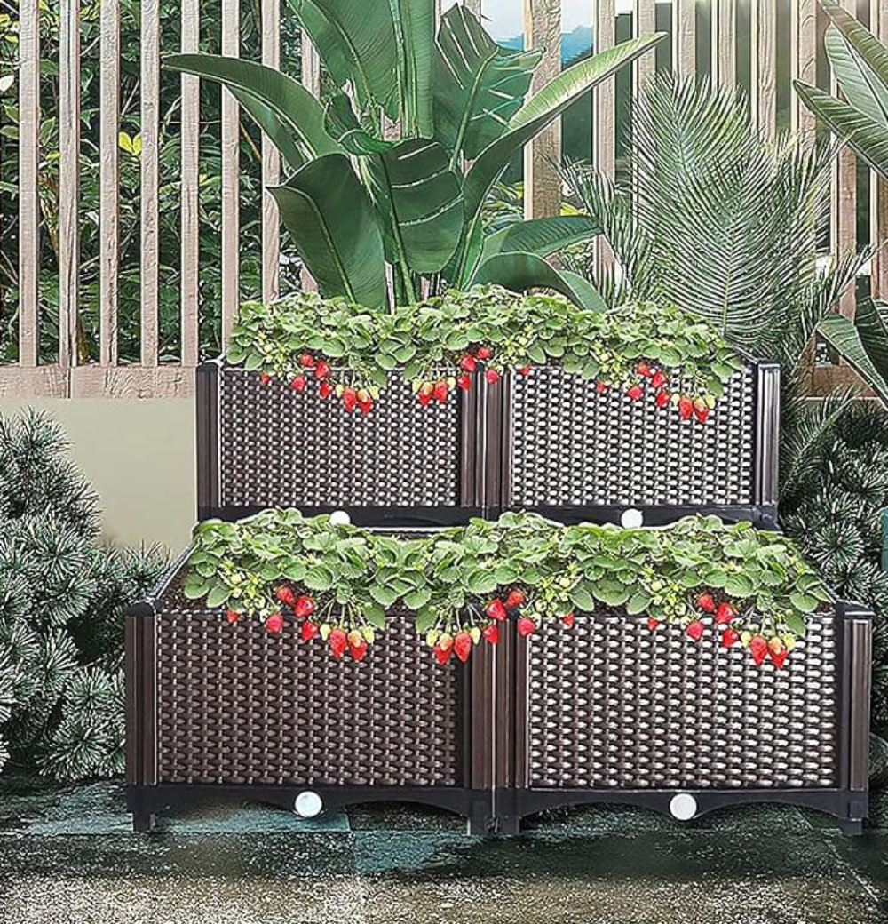 Ophelia & Co. Raised Garden Bed Kit, Elevated Planter Boxes For Outdoor ...