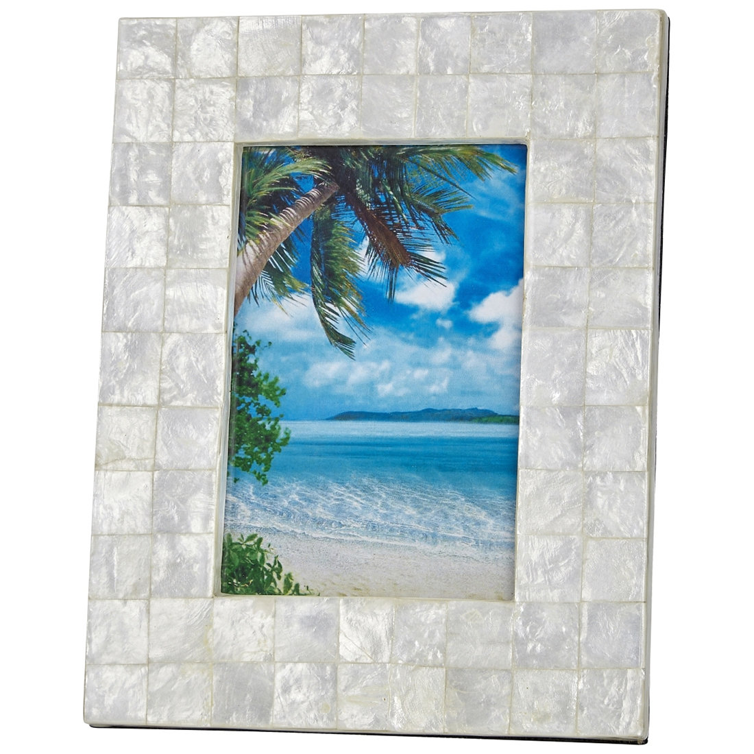 Dovecove Capiz Shell Picture Frame | Wayfair