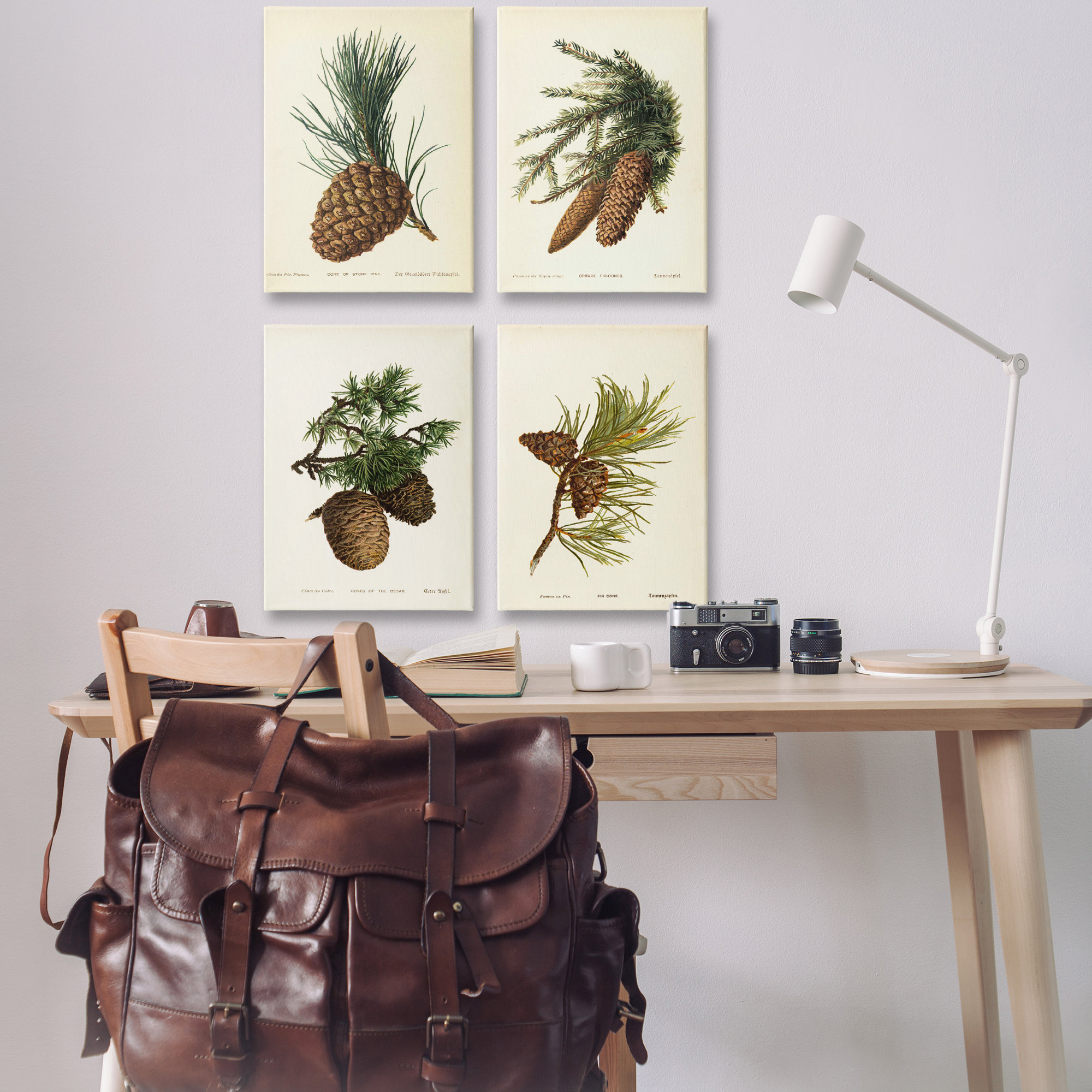Millwood Pines Pinecone Latin Studies 4 PC Canvas Wall Art Set by Tina ...