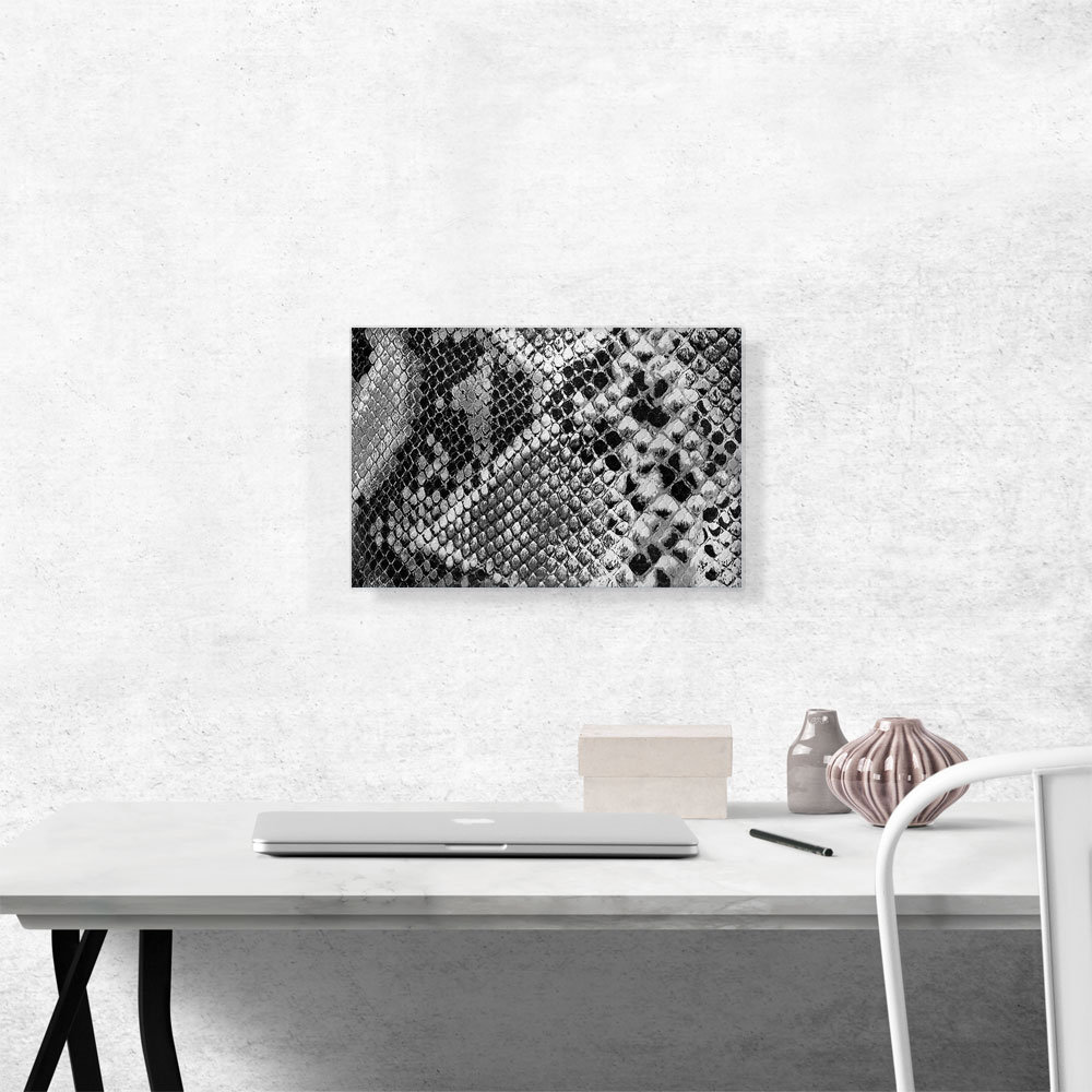 ARTCANVAS Snake Skin Home Decor - Wrapped Canvas Photograph Print | Wayfair