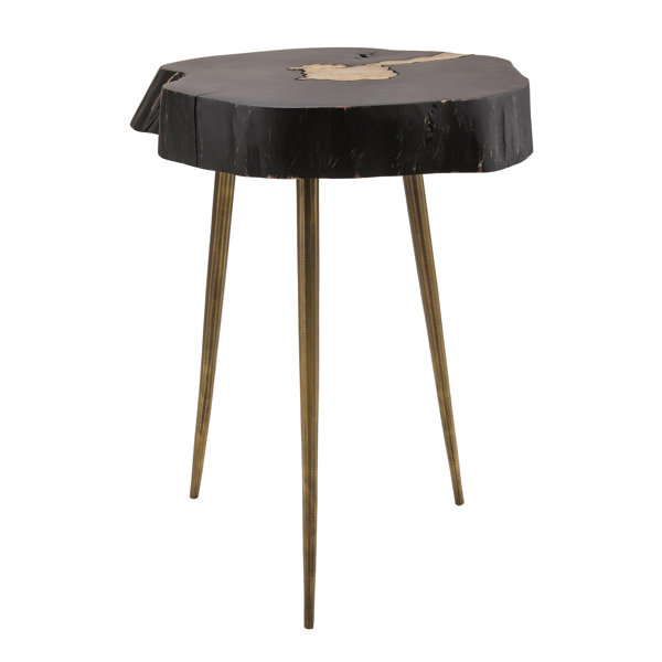 Tov Furniture Timber Black and Brass Side Table | Wayfair