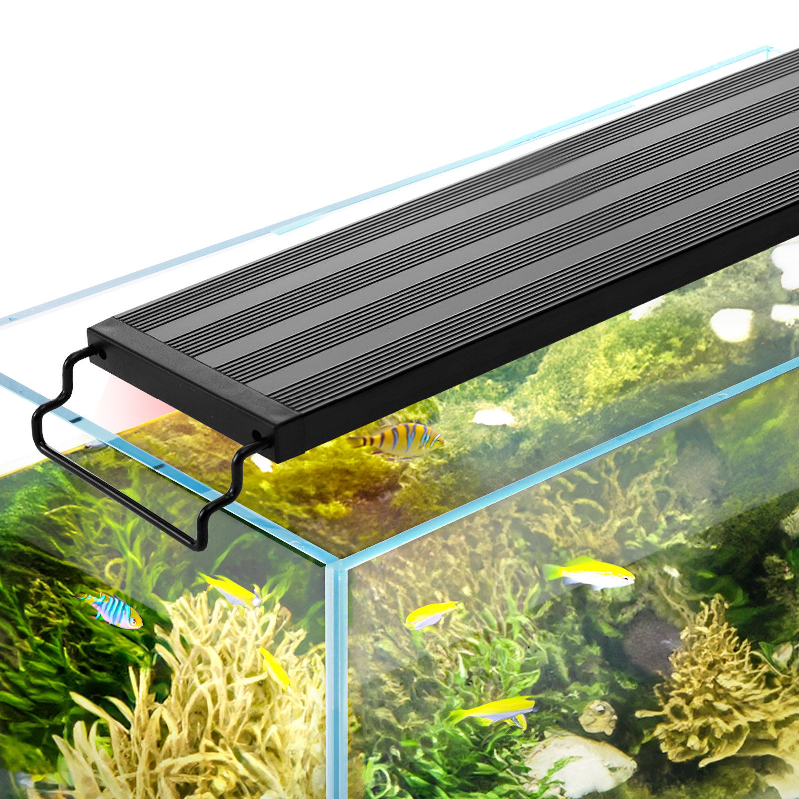 VEVOR Aquarium Light, 36W Full Spectrum Fish Tank Light - Wayfair Canada
