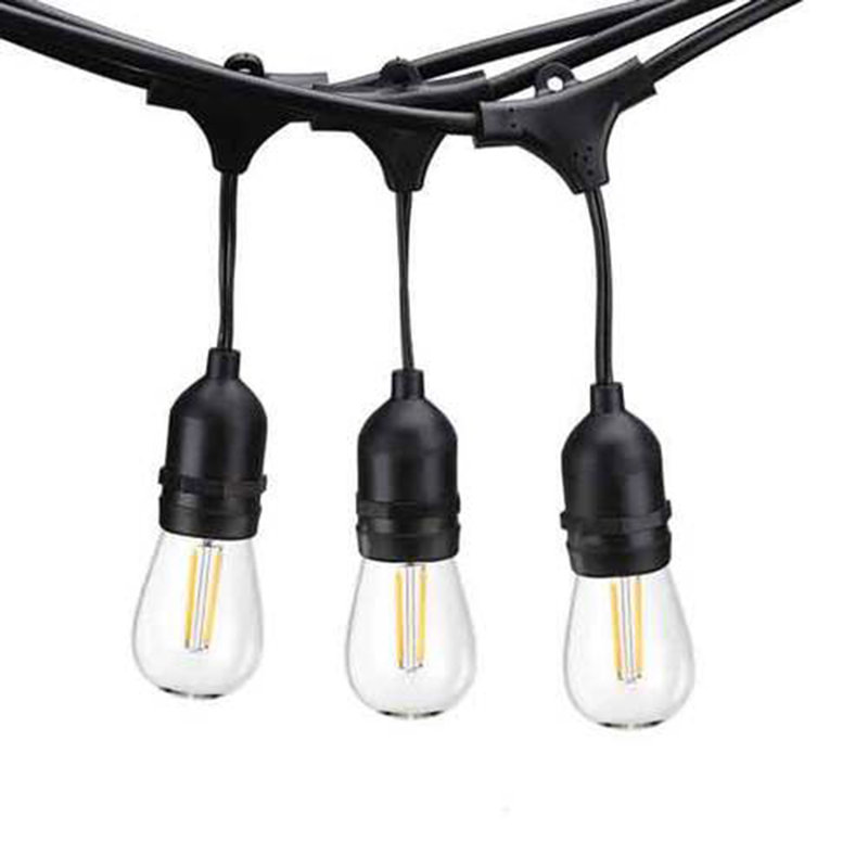 Williston Forge Abrego Outdoor 24 - Bulb 48'' Plug-in String Light ...