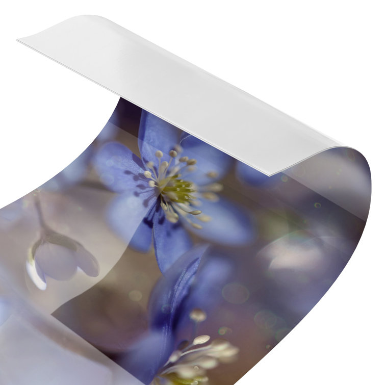 Ebern Designs Adylen 80 x 280Cm PVC Tile in Blue | Wayfair.co.uk