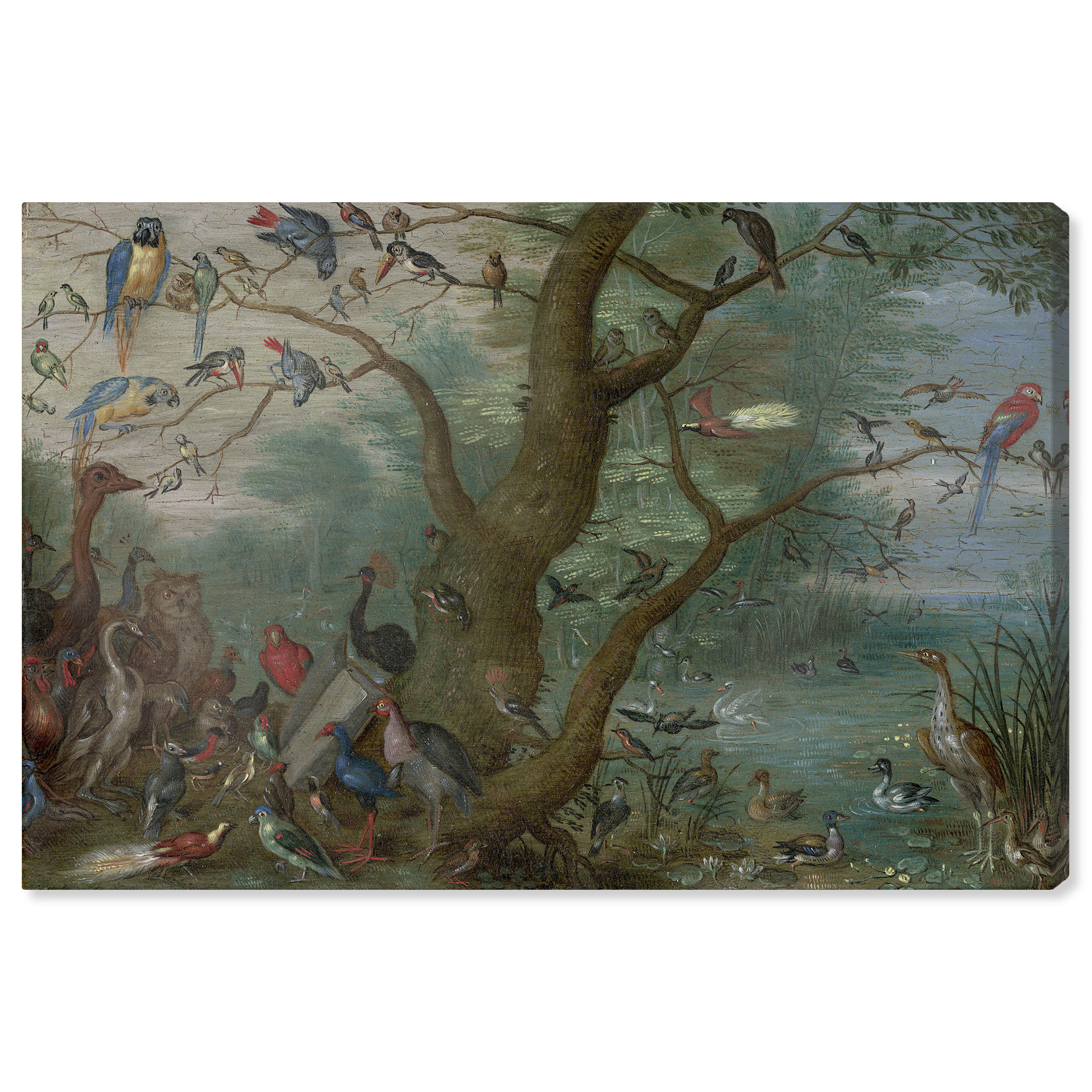 Oliver Gal Prints Animals 'Jan Van Kessel - Concert Of Birds' Birds By ...