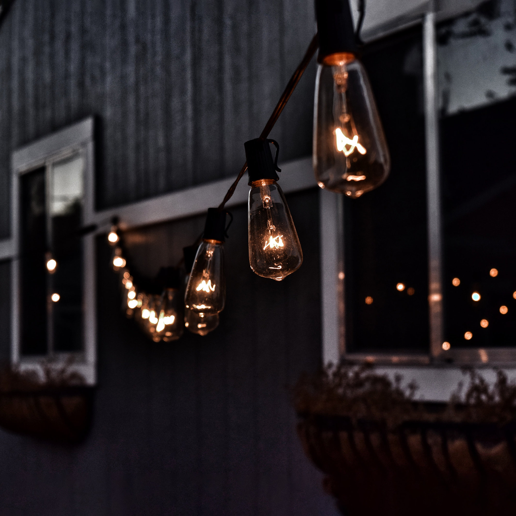 Northlight Seasonal 10-Count Clear Transparent Edison Patio Light Set ...