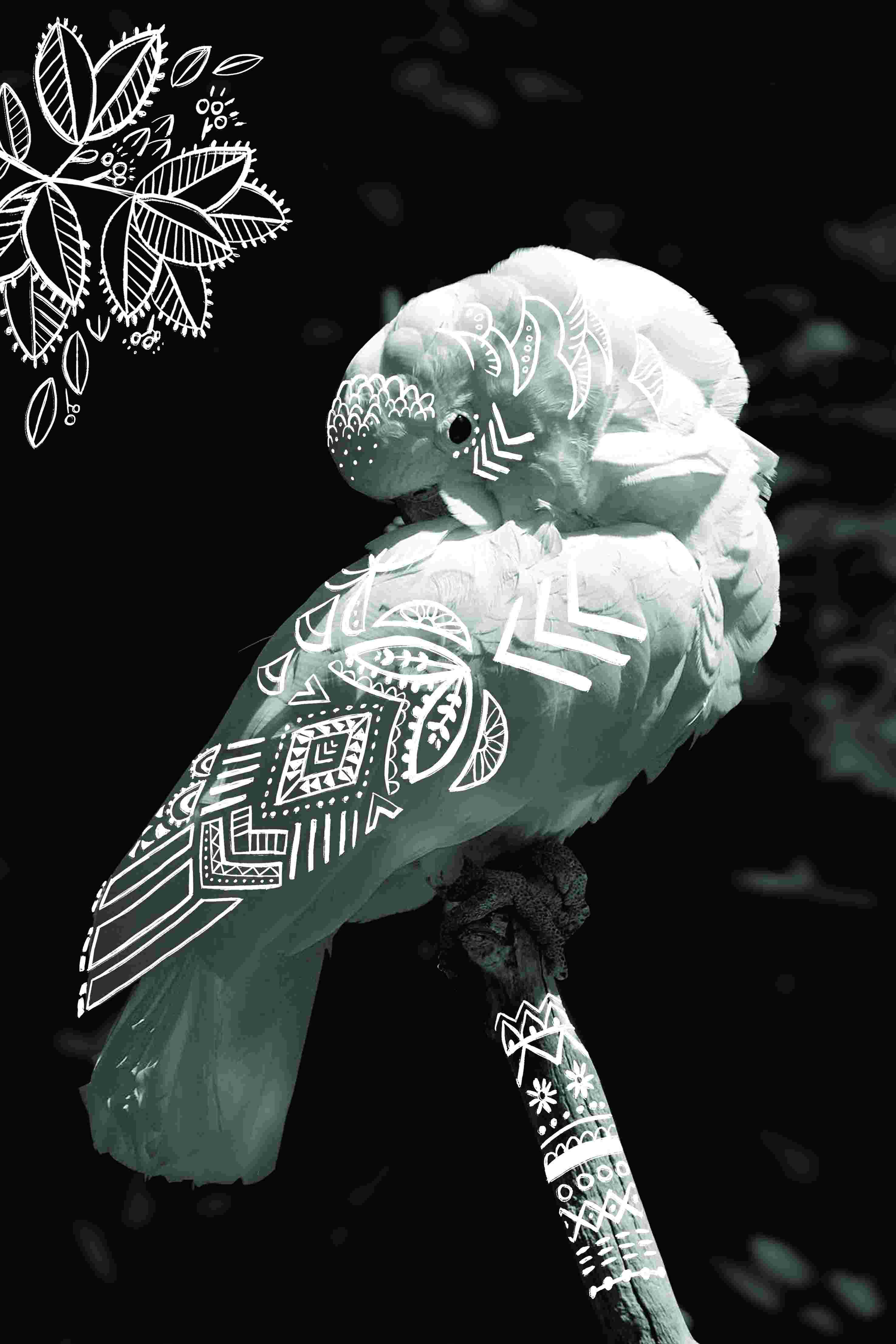 Winston Porter Draw Bird Draw - Wayfair Canada