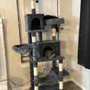 Archie & Oscar™ Timmins 78.3" Multi-Level Cat Tree with Cat Scratching ...