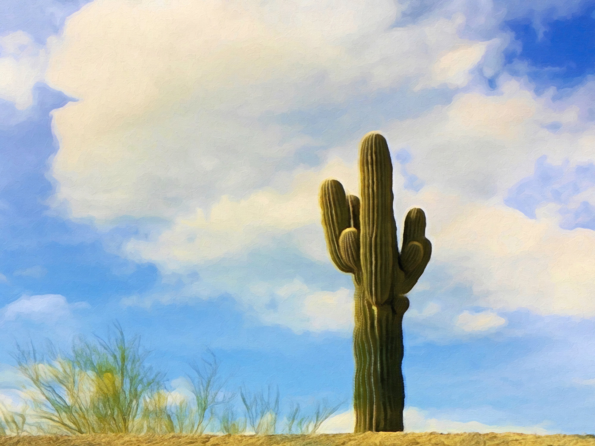 Union Rustic Western Cactus by Graffitee Studios - Wrapped Canvas ...