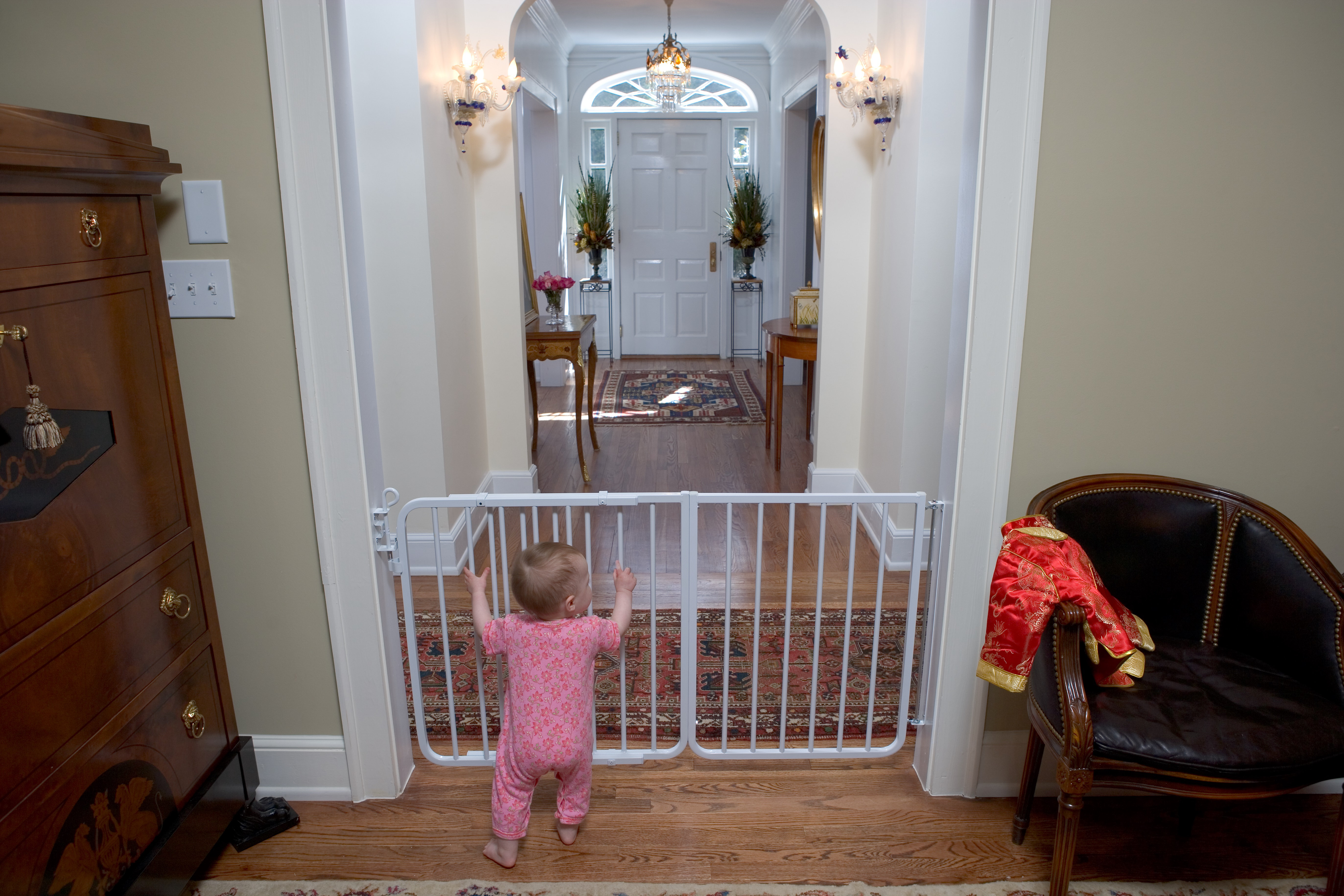 Cardinal Gates 21.75" Gate Extension Kit & Reviews | Wayfair