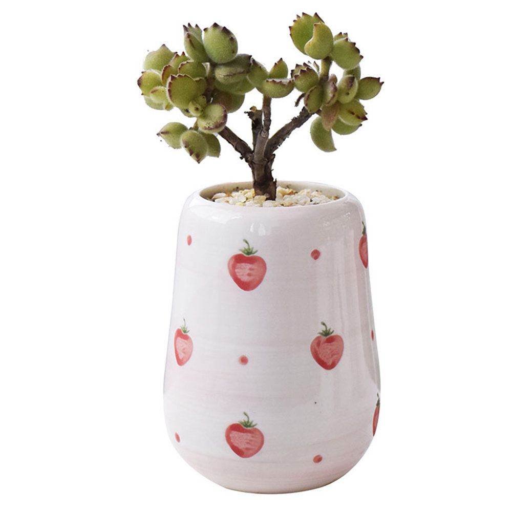 Winston Porter Pots For Plants With Drainage Holes - Wayfair Canada