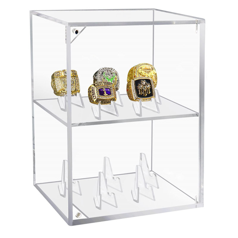 HIRVOK Championship Ring Display Case | Wayfair