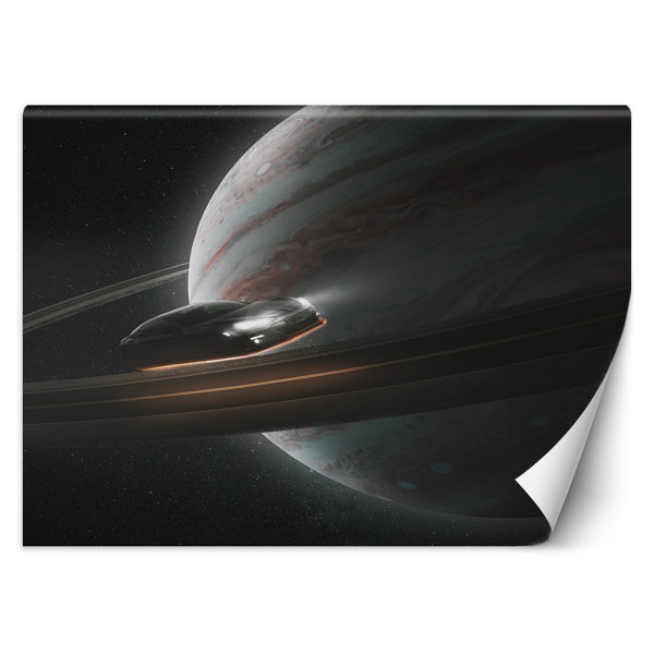 Happy Larry Ranney Single Smooth Satin Wall Mural | Wayfair.co.uk