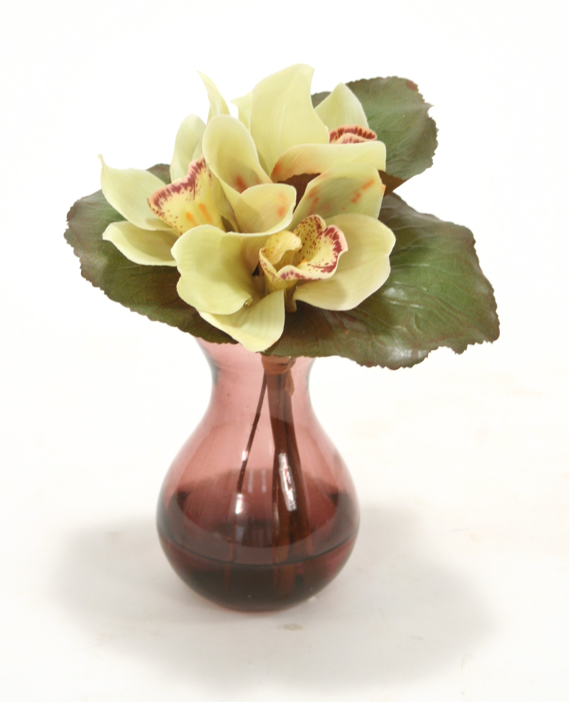 Primrue Fall Green Cybidium Orchid Bouquet in Plum Bulb Forcer | Wayfair