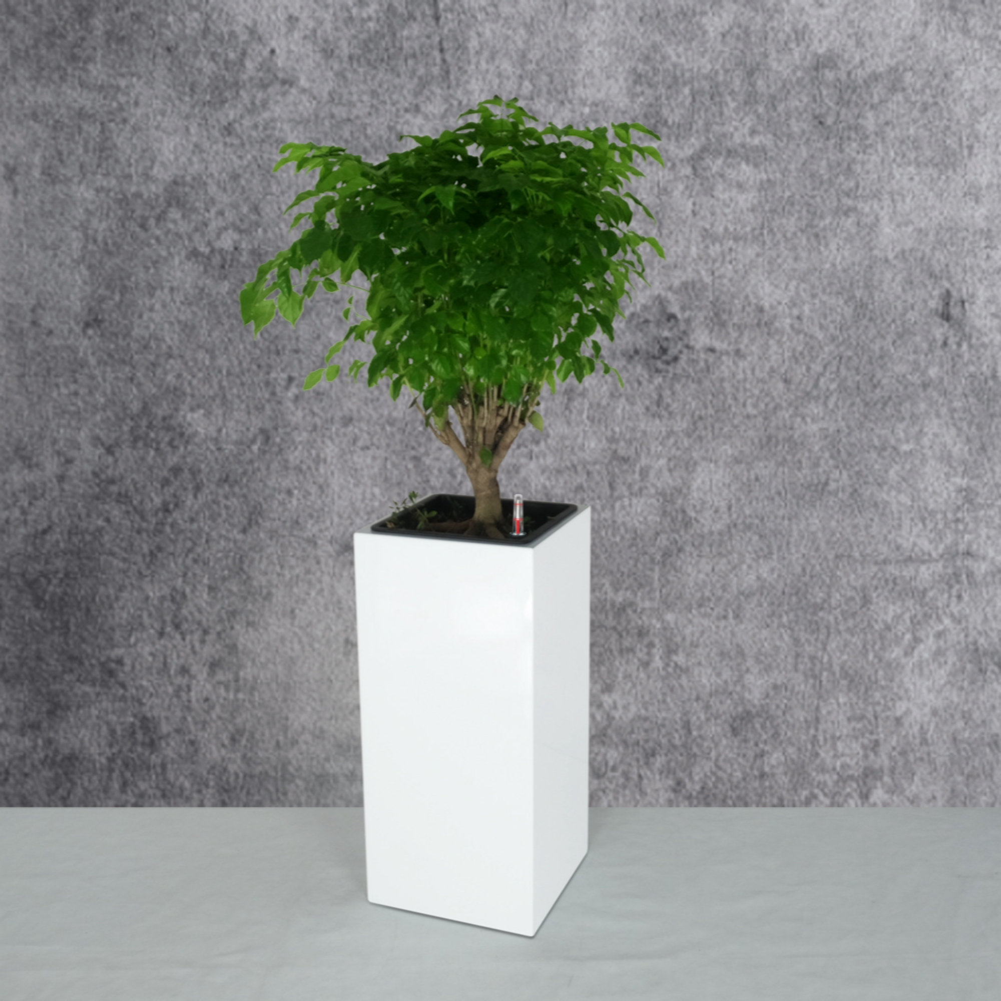 Latitude Run® Pot Planter | Wayfair