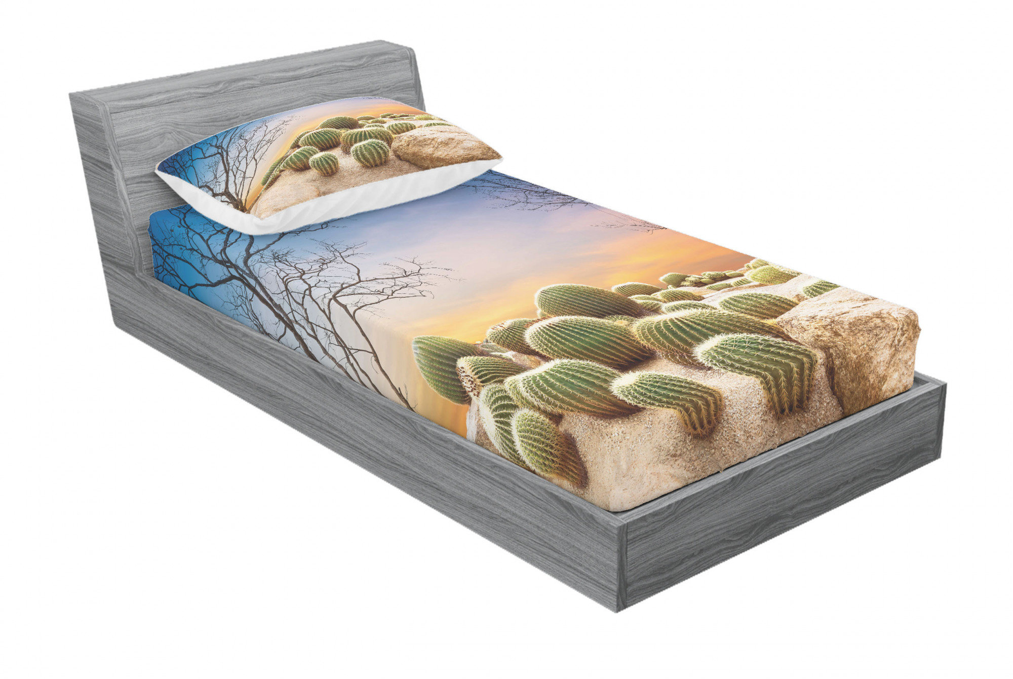 Ambesonne Cactus Cactus Balls with Spikes on a Montain Desert Sand Hot ...