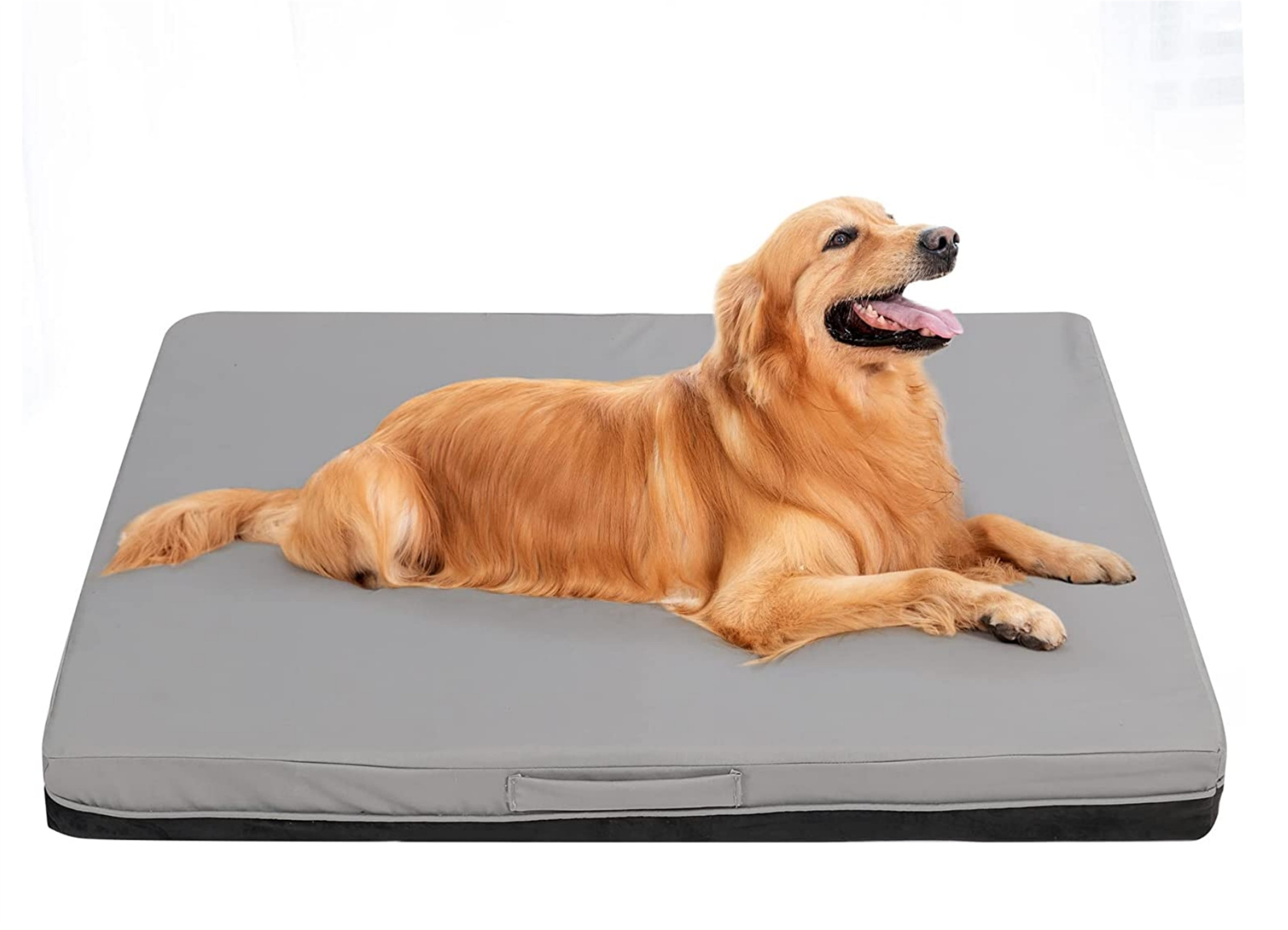Tucker Murphy Pet™ Jumbo Memory Foam Dog Bed Mat For Medium, Large Dogs ...