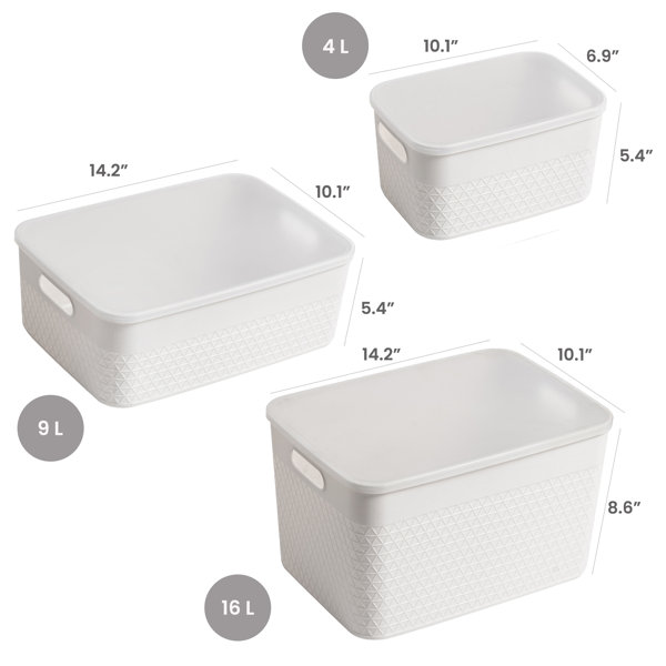 Rebrilliant Storage Bin & Reviews | Wayfair