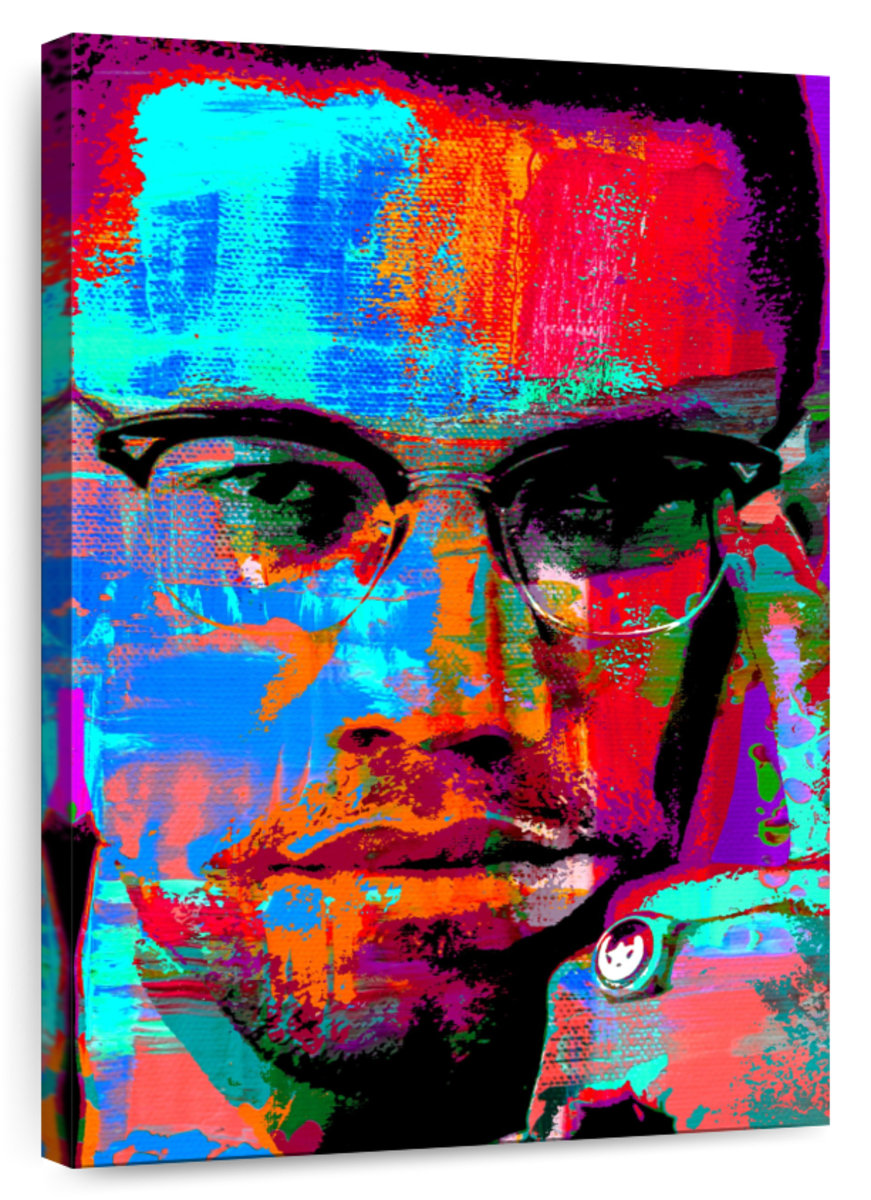 Elephant Stock Malcolm X II | Wayfair