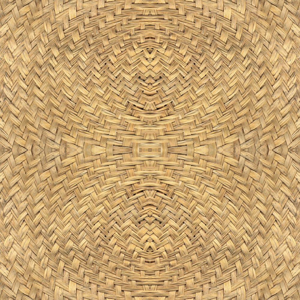 Imagine Tile, Inc. Polynesian 16" x 16" Ceramic Field Tile in Natural ...