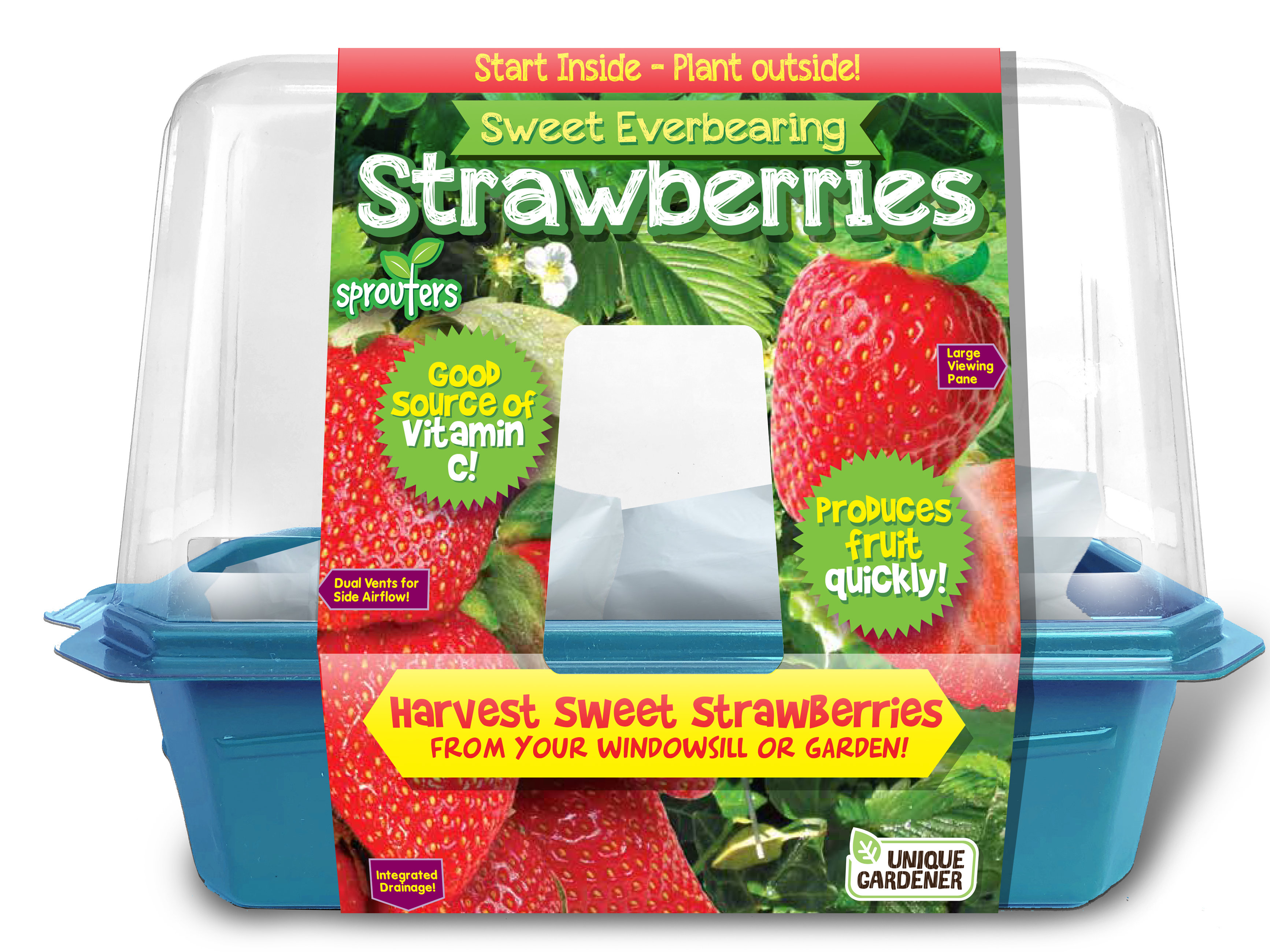 Silver Circle Products Sweet Everbearing Strawberries Growing Kit ...
