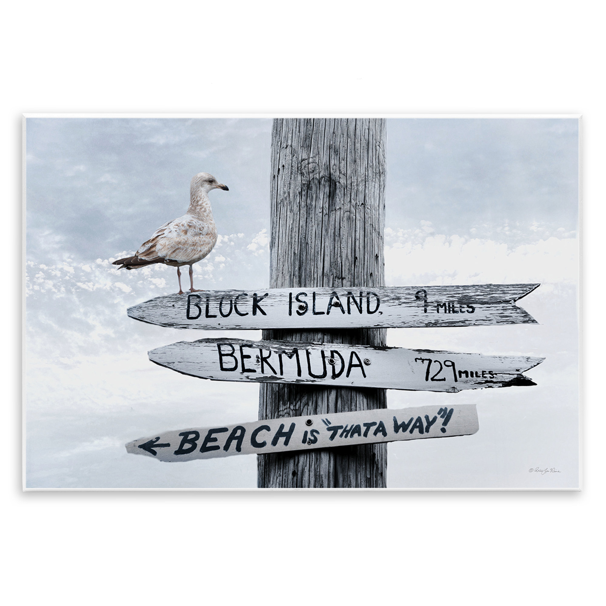 Highland Dunes Vacation Beach Signs with Seagull Wall Plaque, design by ...
