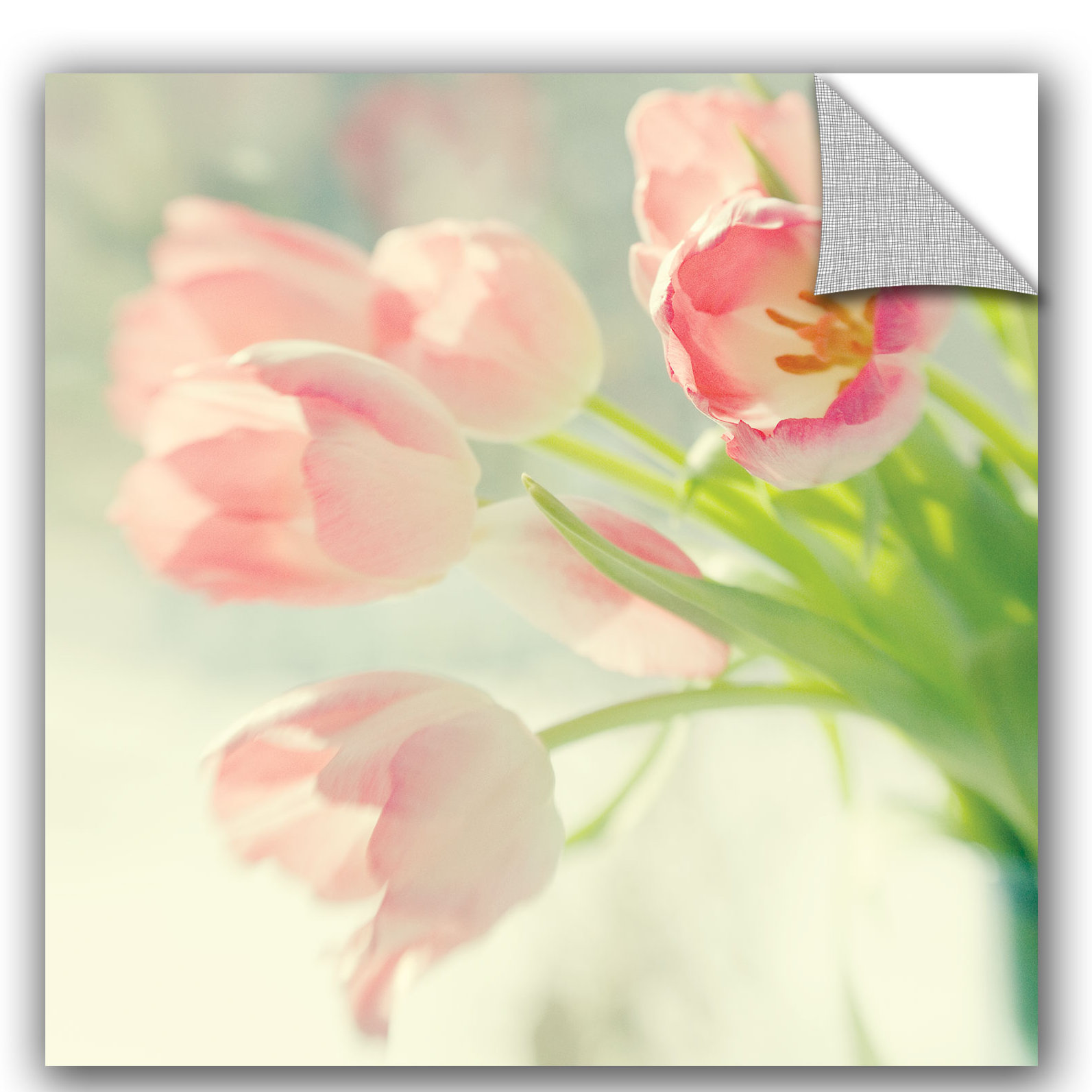 Wade Logan Cajilus Pink Tulips Removable Wall Decal - Wayfair Canada