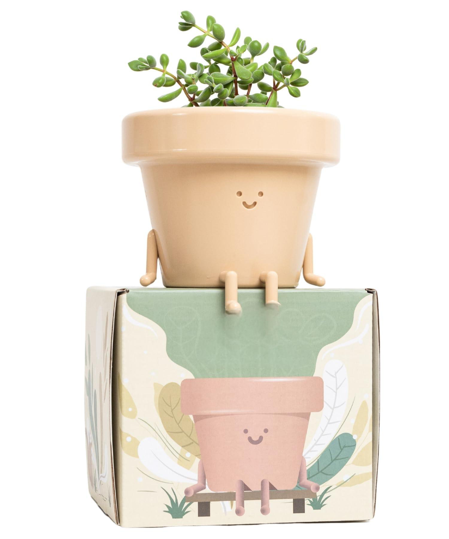 Trinx Sitting Pot -Cute Plant Pot - Plastic Funny Planter With Drainage ...