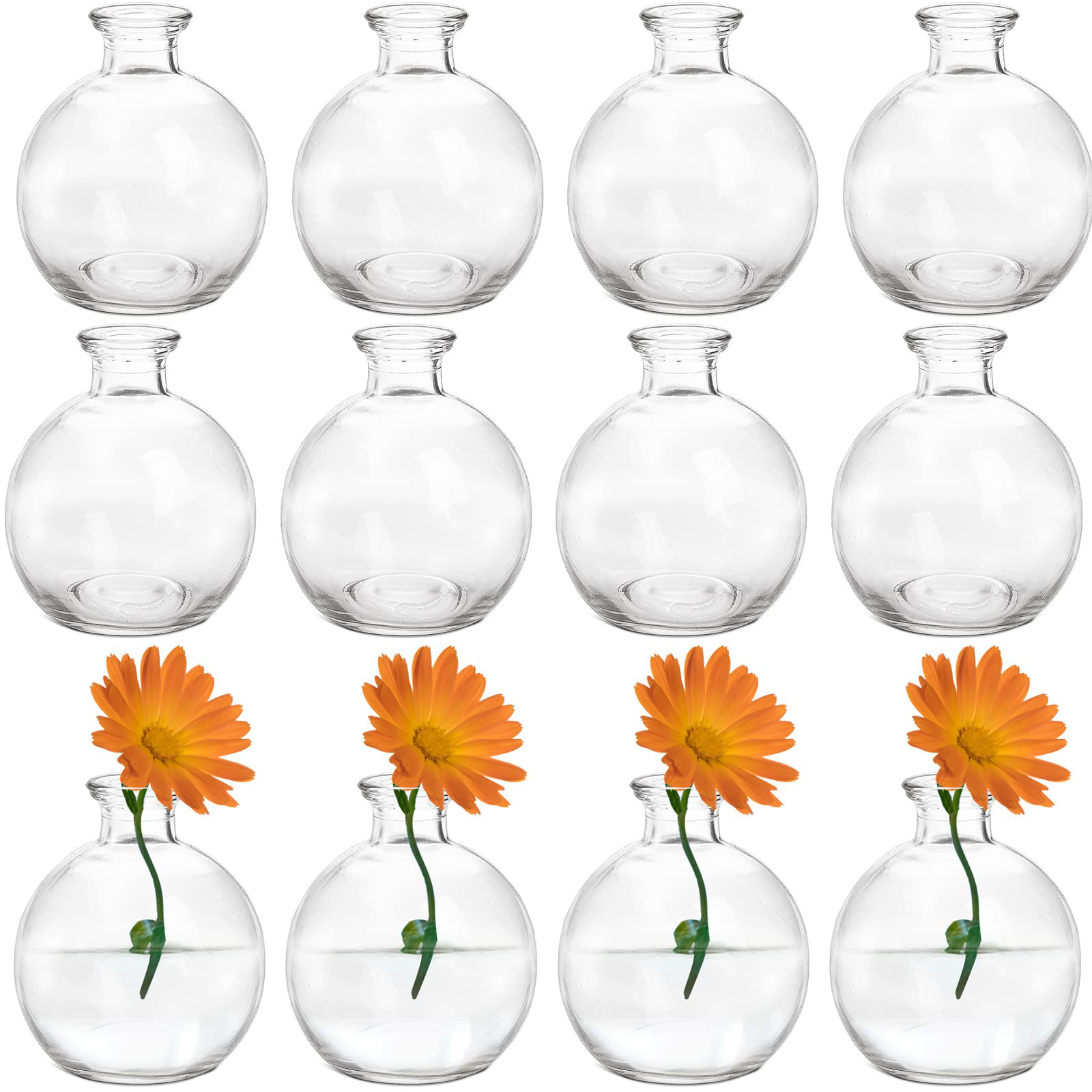 Lark Manor Set Of 12 Small Glass Ball Bud Vase, Unique Mini Low Sitting ...