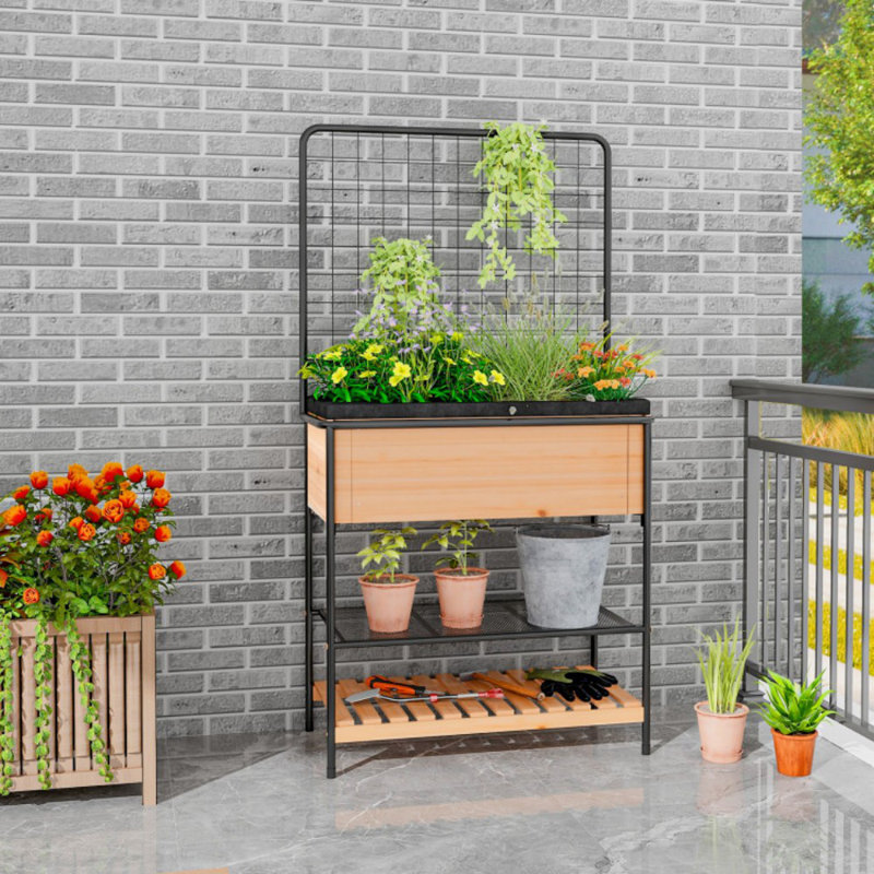 17 Stories Raised Garden Bed With Trellis 2-Tier Storage Shelves | Wayfair